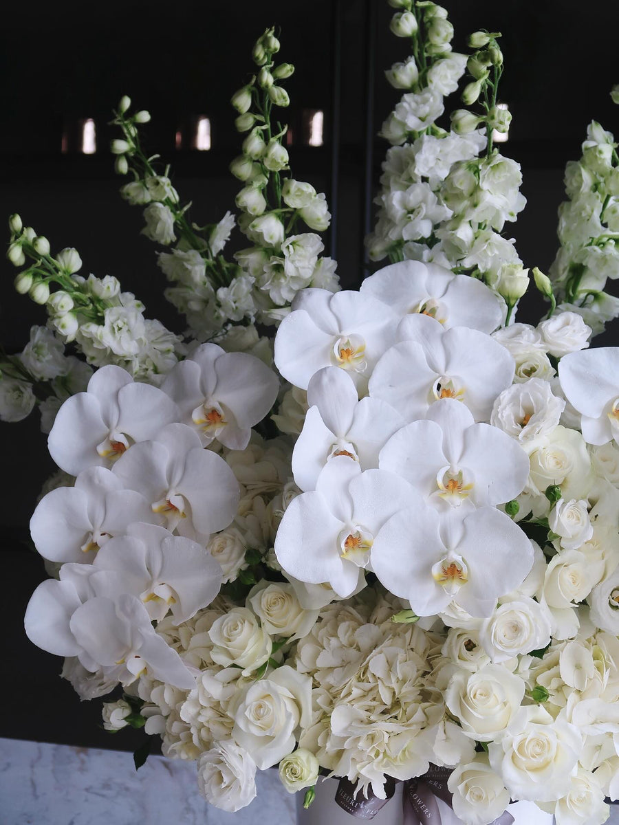 Clouds – Fleuri Flowers